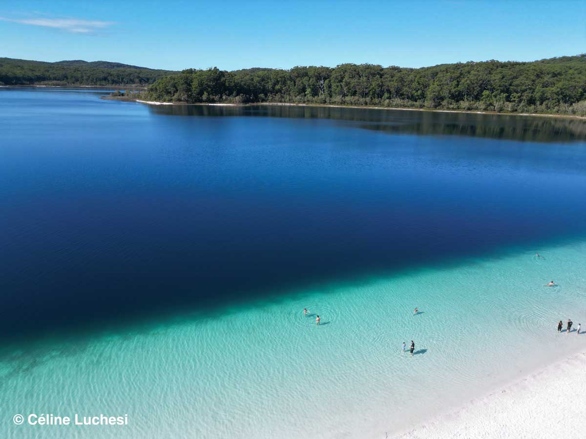 Visiter l'île de Fraser Island (K'gari) en Australie - Voyageons.net
