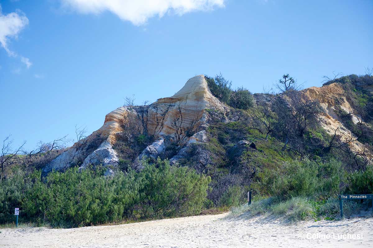 Visiter l'île de Fraser Island (K'gari) en Australie - Voyageons.net